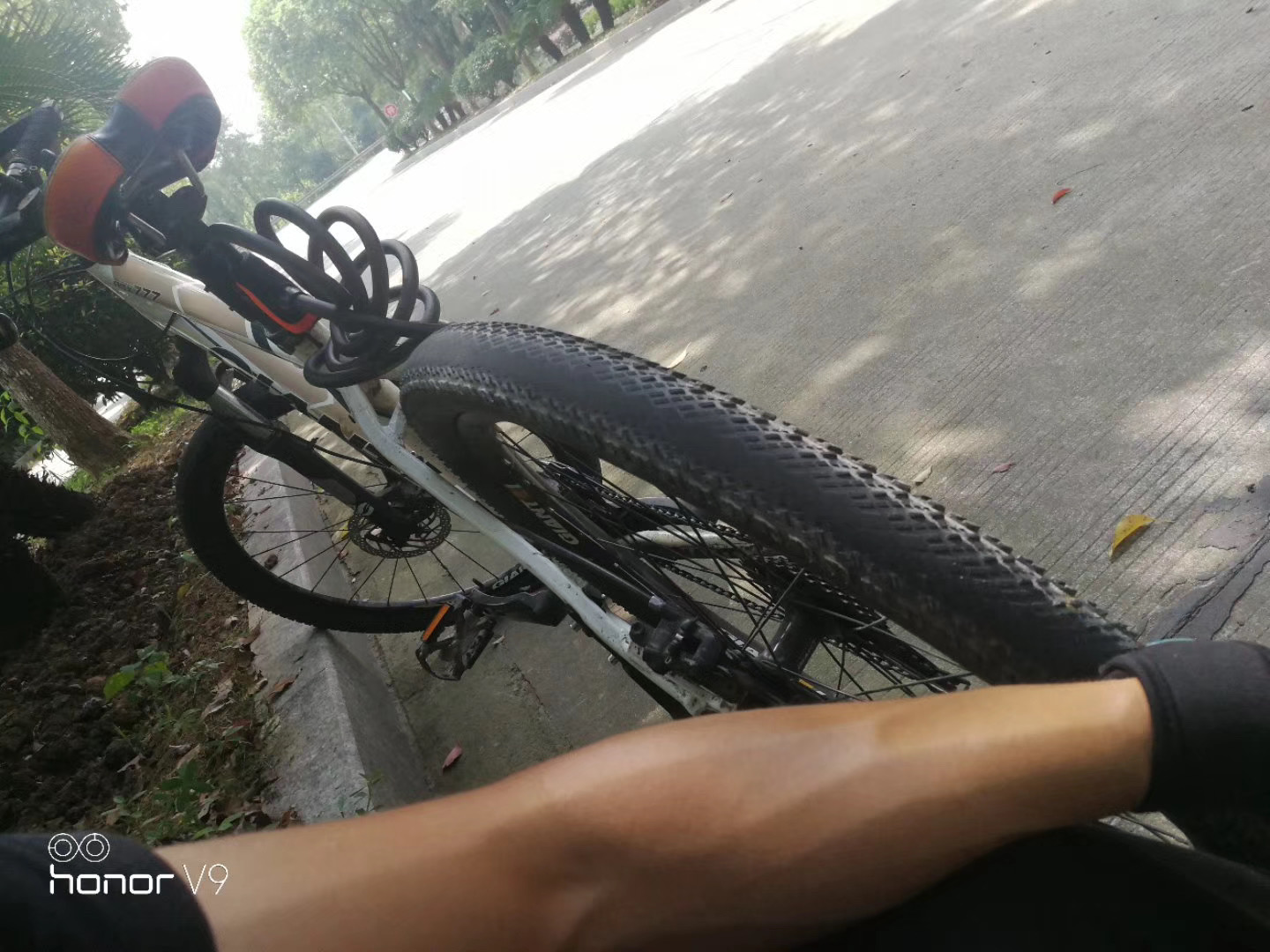 Xuchu Yang / 杨旭初