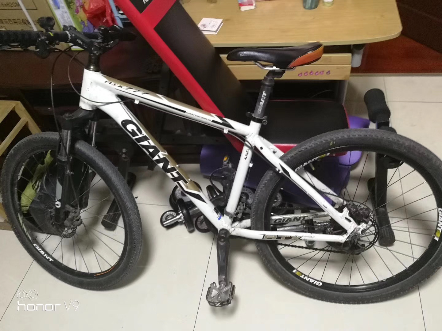 Xuchu Yang / 杨旭初