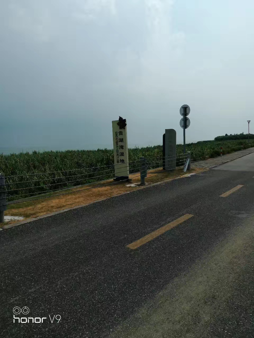 Xuchu Yang / 杨旭初